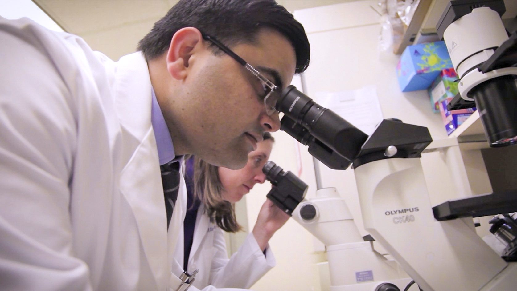 International Progressive MS Alliance Makes Recommendations for ...